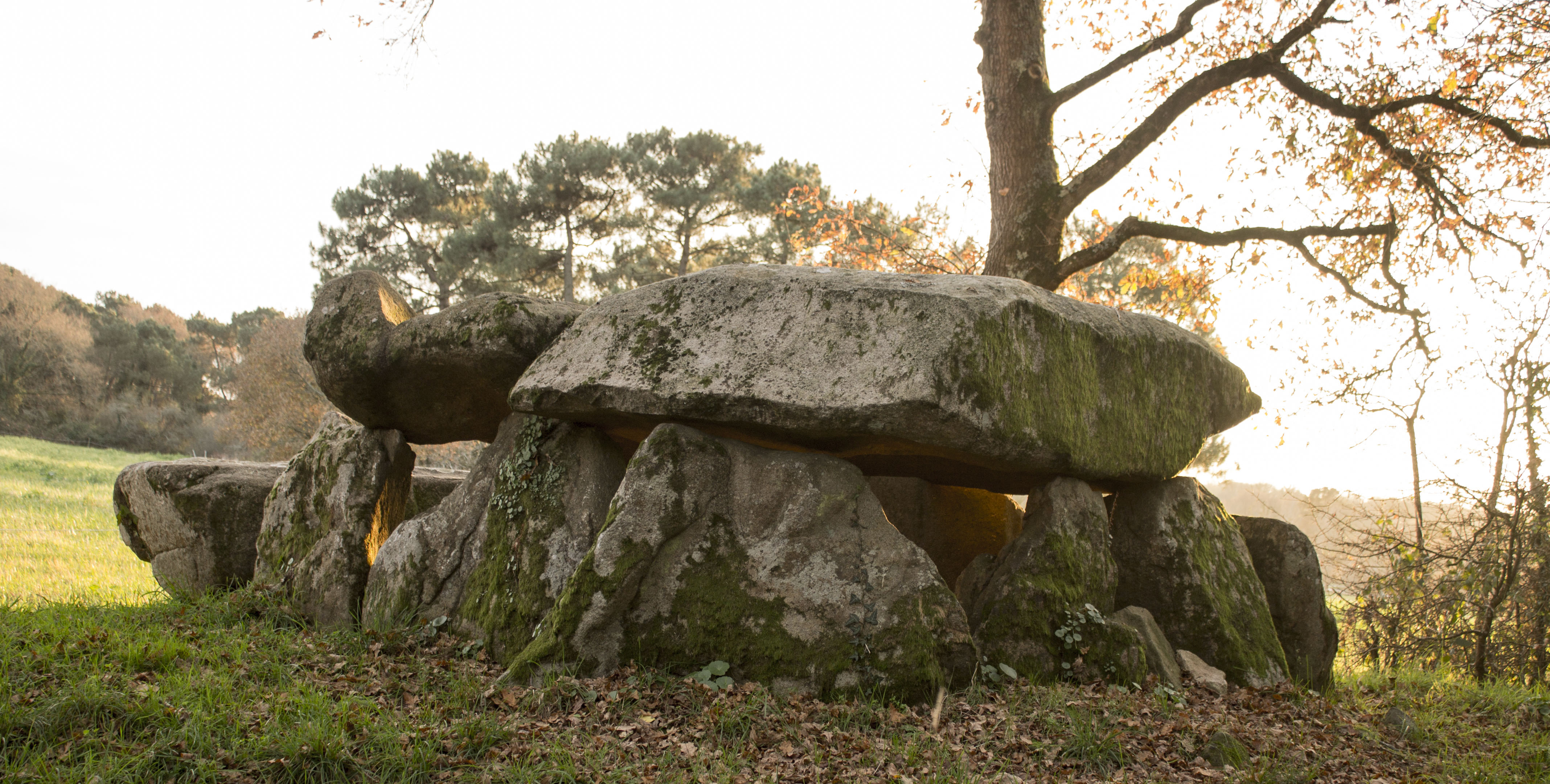Mégalithes de Carnac — ORAEDES